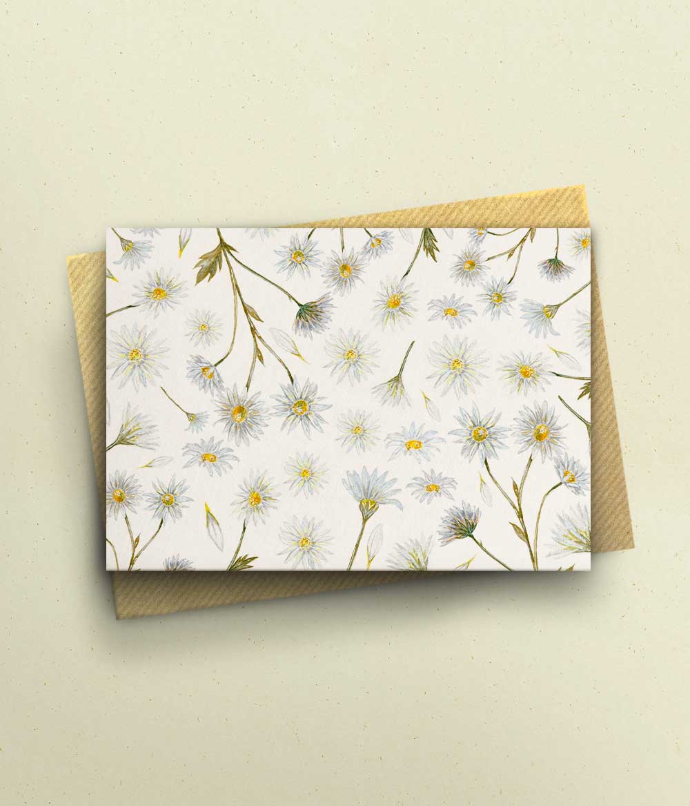 Daisies Card – bytillyillustration